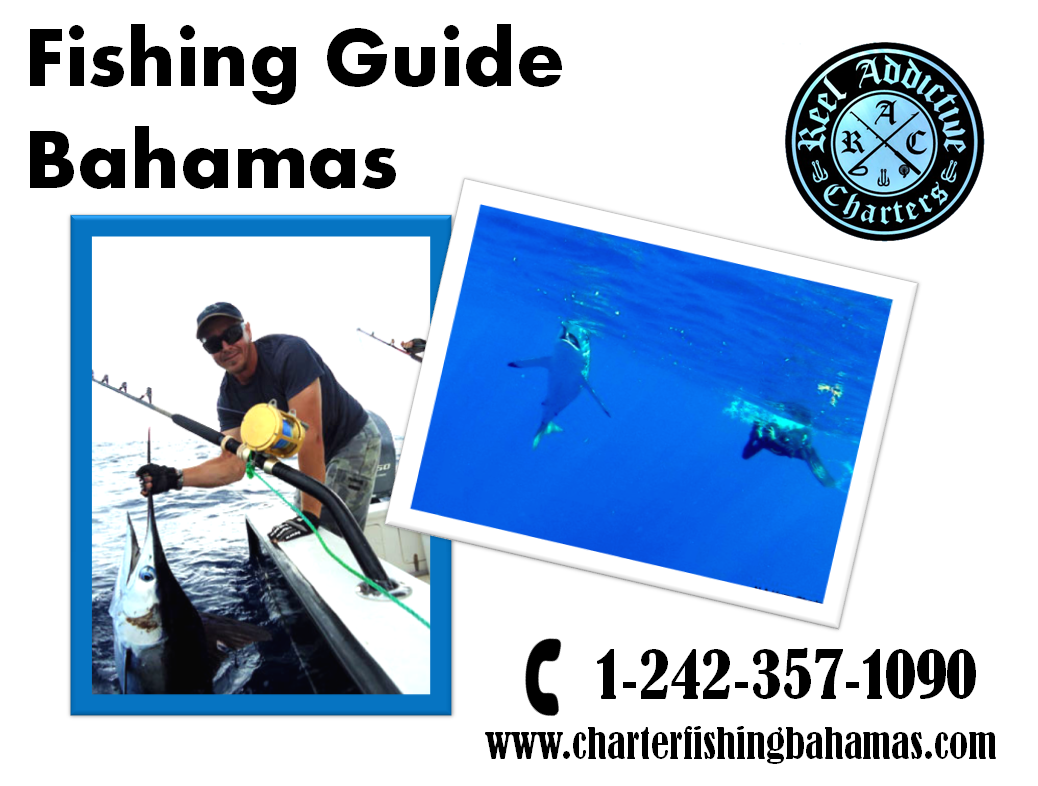 Fishing Guide Bahamas | Best Charter and Guide Service 2020 | by ...