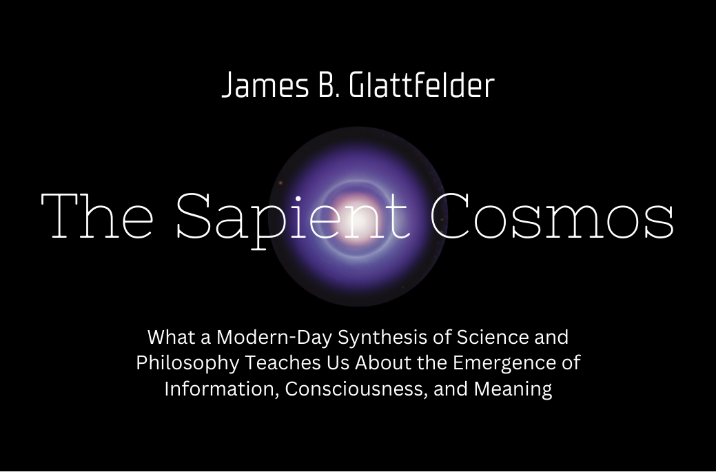 Excerpts from The Sapient Cosmos. Chapter 1 | by James B Glattfelder | May, 2025 | Medium