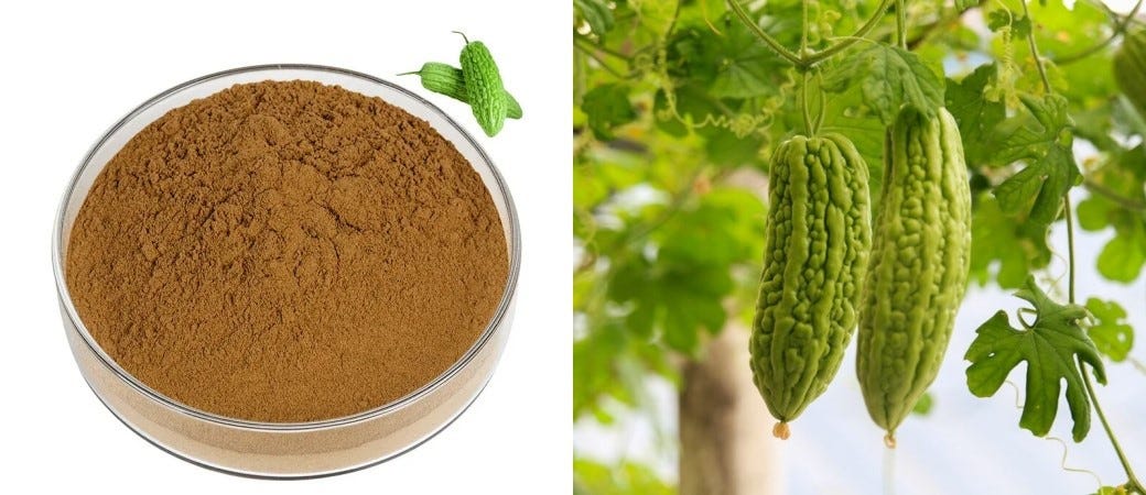 Does Bitter Melon Powder Help With Diabetes? | by JOYWIN Natural ...