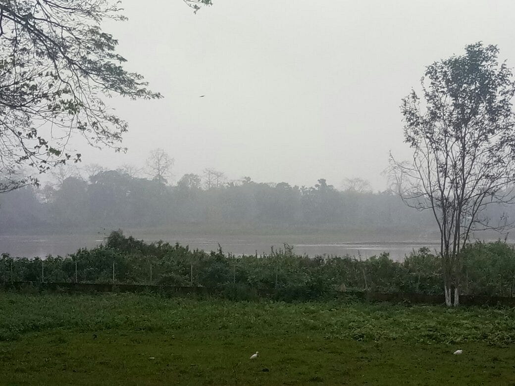 Exploring Jeypore Rainforest: A Hidden Gem in Assam | by ...