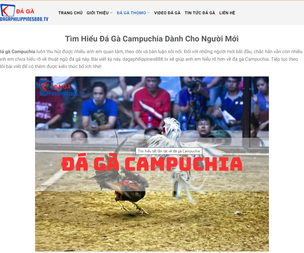 da ga campuchia thomo medium - dagaphilippines888 - Medium