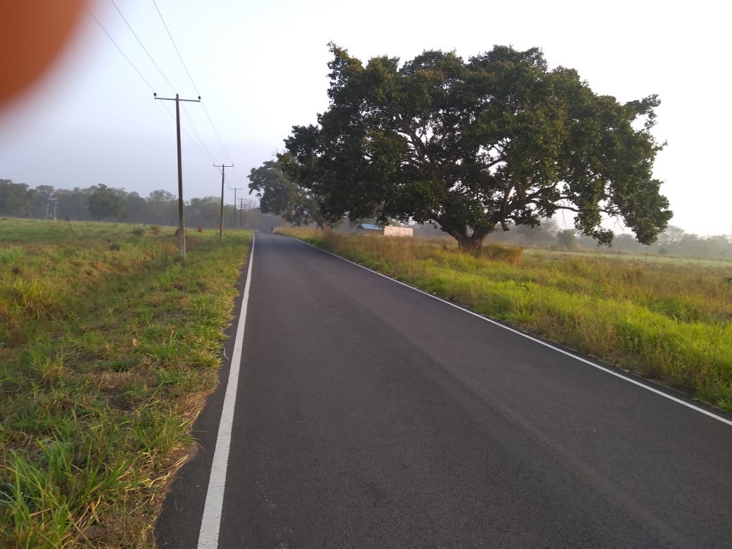 The fault lines in my stars. I like long walks. I have begun to like… | by Zunder Lekshmanan ...