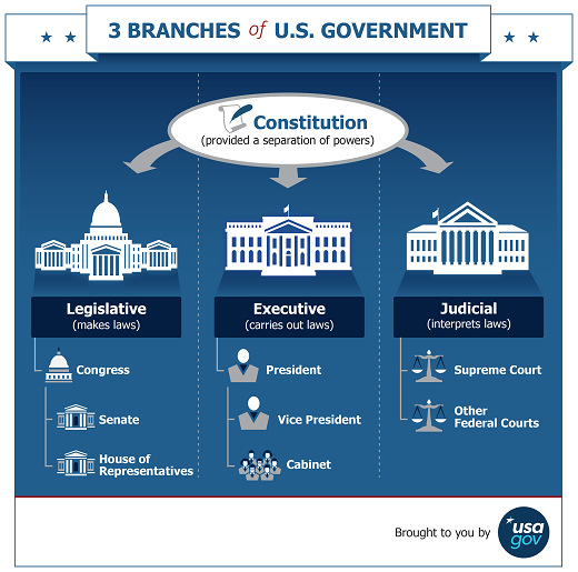 Three Branches Of Government Chart For Kids