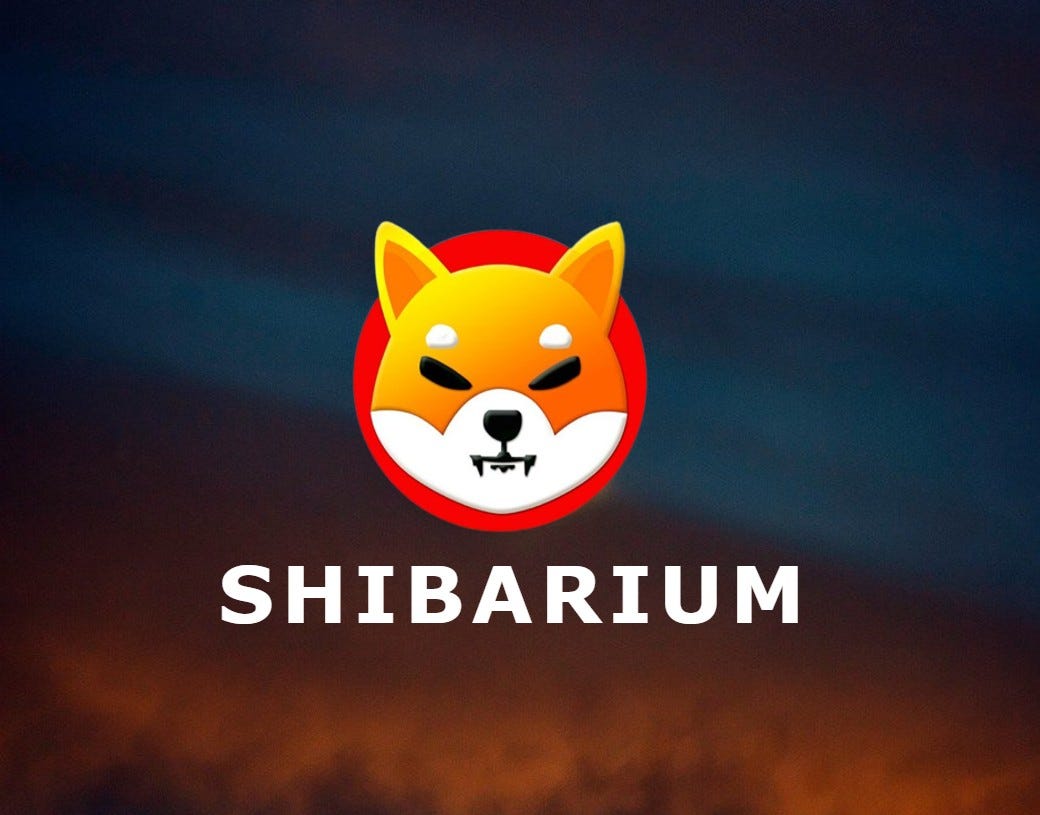 Cryptiq WEB3’s Dawn on Shibarium: Pioneering a New Era with the BONE ...