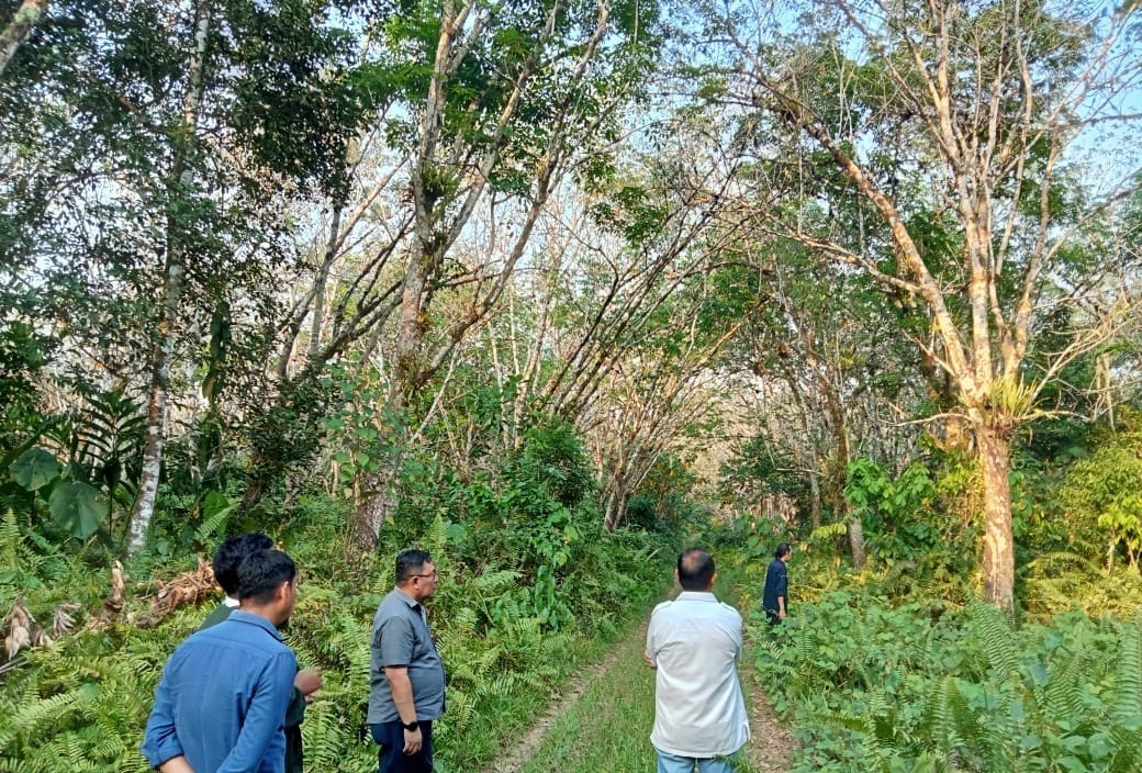 PTPN XIV Optimalkan Aset Menjadi Lahan Produktif | by Brilliant | Nov, 2023 | Medium