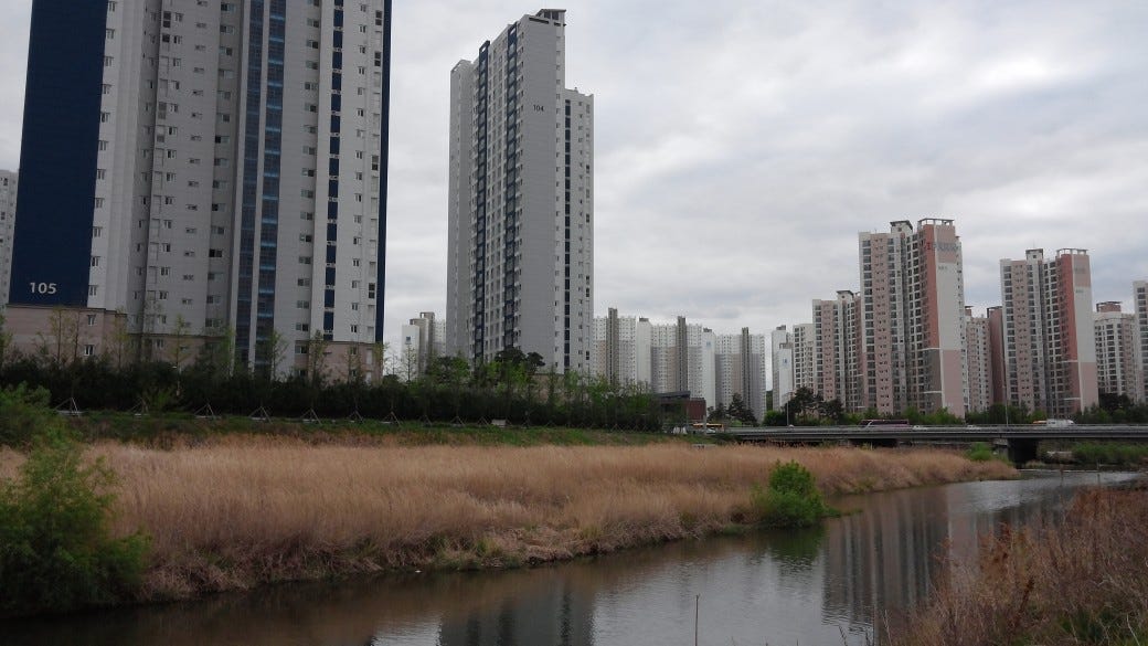 〔Poem〕Spring Rain Soaked Stray Cat - Anhwa Yoo - Medium