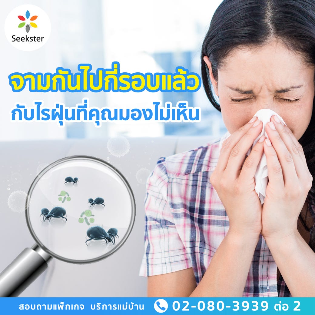 ไรฝุ่น ภัยร้ายใกล้ตัวคุณ ตัวการก่อโรคทางเดินหายใจ | by Seekster | Medium