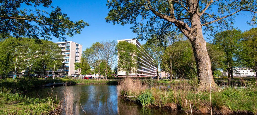 Overvecht: Een Verhaal van Veerkracht en Hoop | by Over Echt | Medium