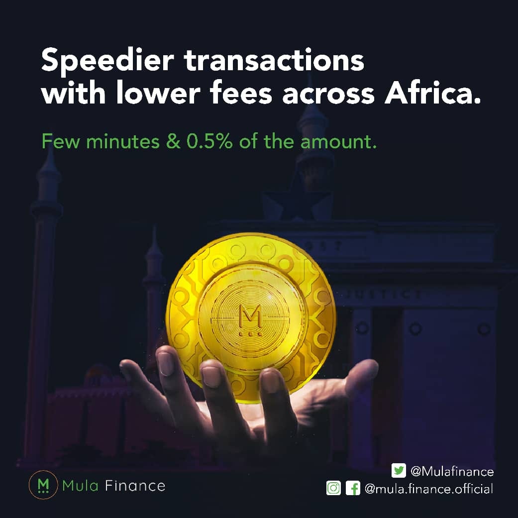 TO OUR IDEAL CUSTOMER: CHOOSING MULA, CHOOSING FREEDOM, TRANSFORMING ...