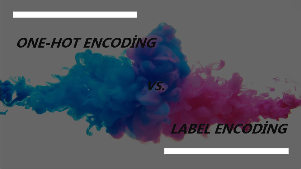Label Encoding Vs. One Hot Encoding | by Özden Özyurt | Medium