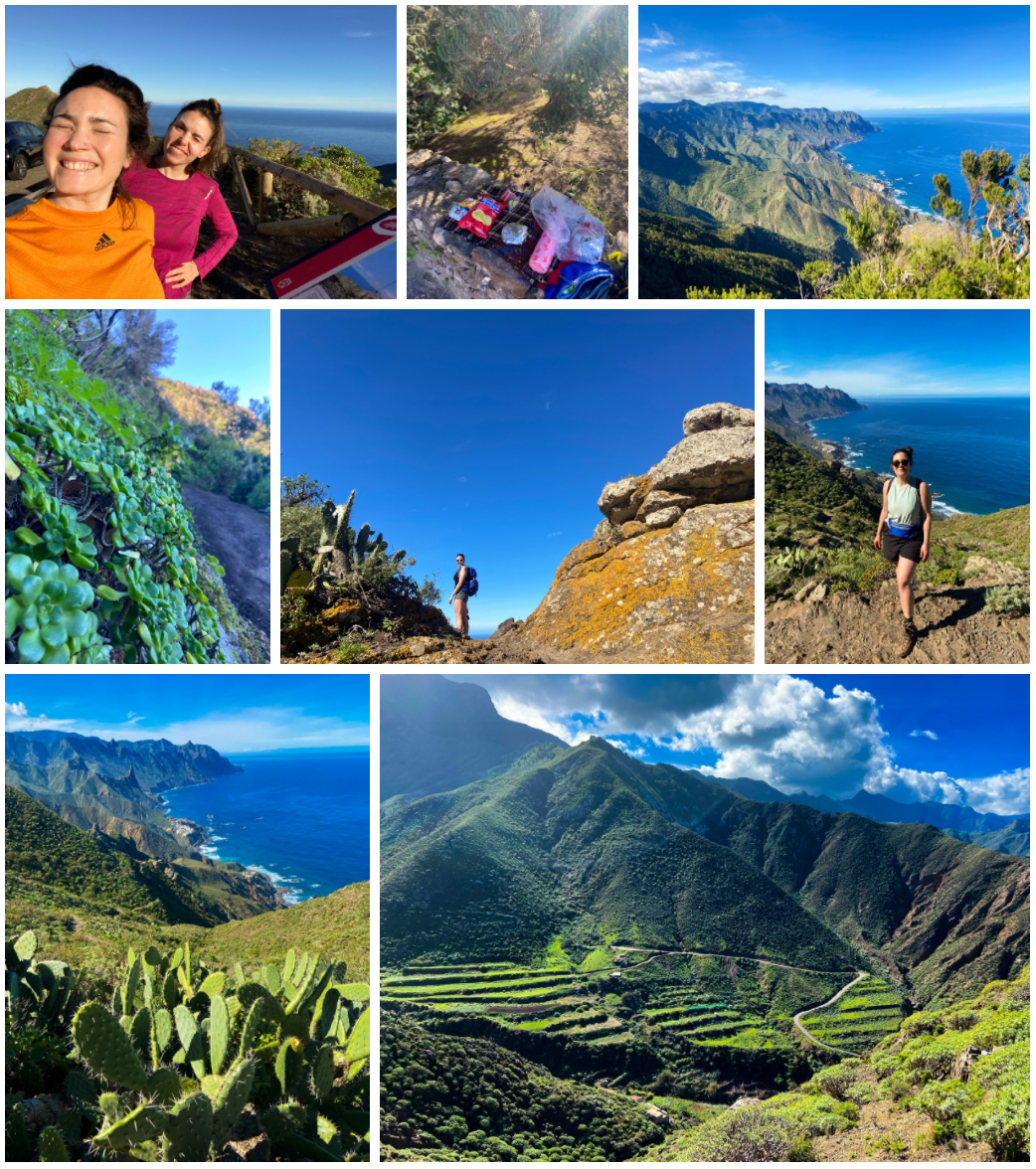 Tenerife— One dreamy week in January! 🦎🌴☀️ | by Sarah Gill Martin | Medium