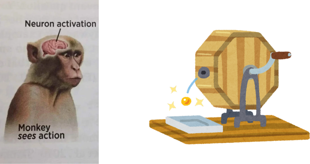 The Future of Vibe Research is Monkey Work (And its great!) | by ...