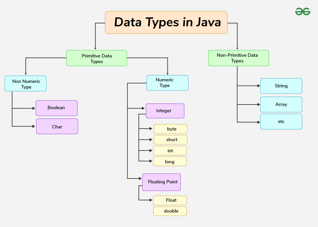 The Many Faces of Data Understanding Data Forms in Programming | by ...
