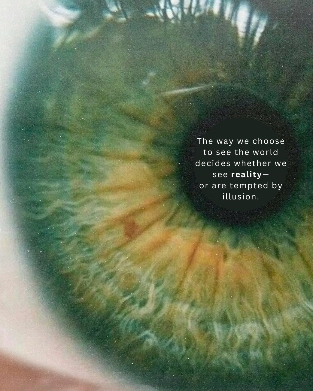 Transcendent Evolution — Transformation 3: Reality | by NOA | NOA solutions | Mar, 2025 | Medium