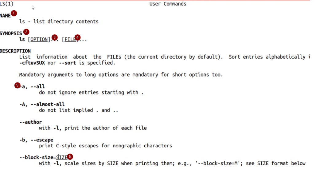 Linux 101 — Part 1 of 4. Covered items: | by TechChica | Jan, 2025 | Medium
