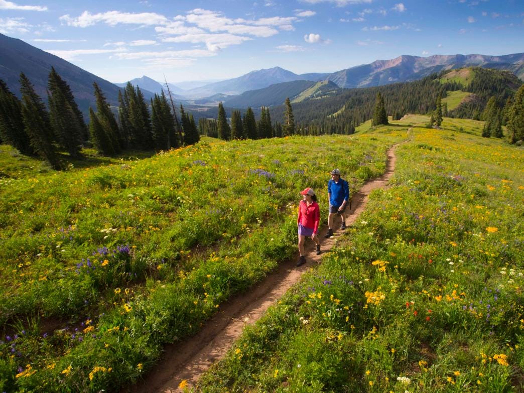 11 AMAZING HIKES TO SEE WILDFLOWERS THIS SPRING AND SUMMER | by Emme ...