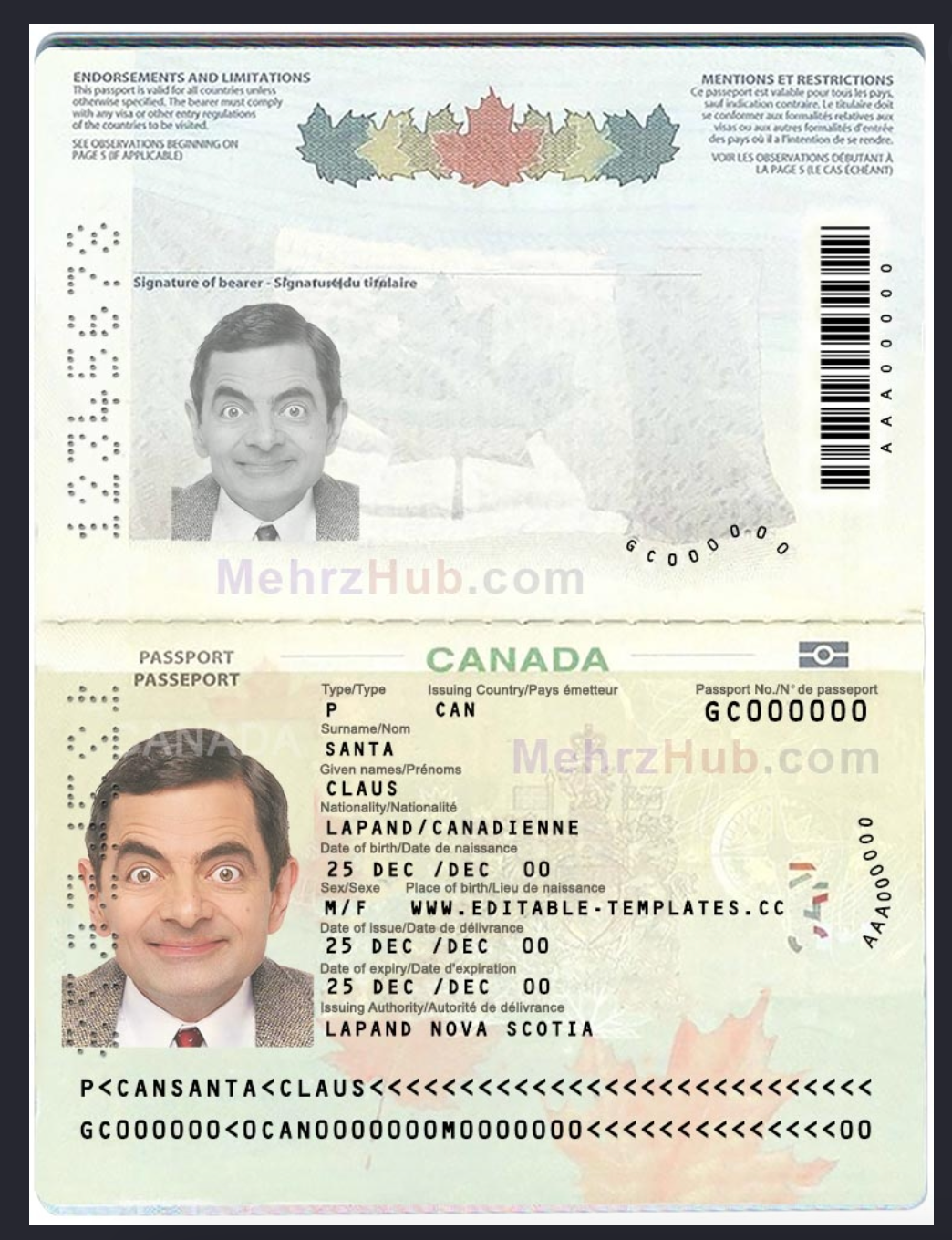 Harnessing OCR and OpenAI: A Structural Guide to Passport Text ...