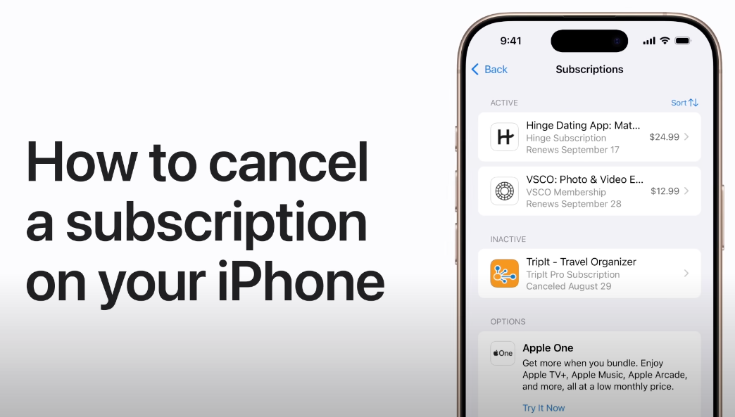 Stop Auto-Renewals on iOS 18: End Trials & Subscriptions (2025 Edition ...