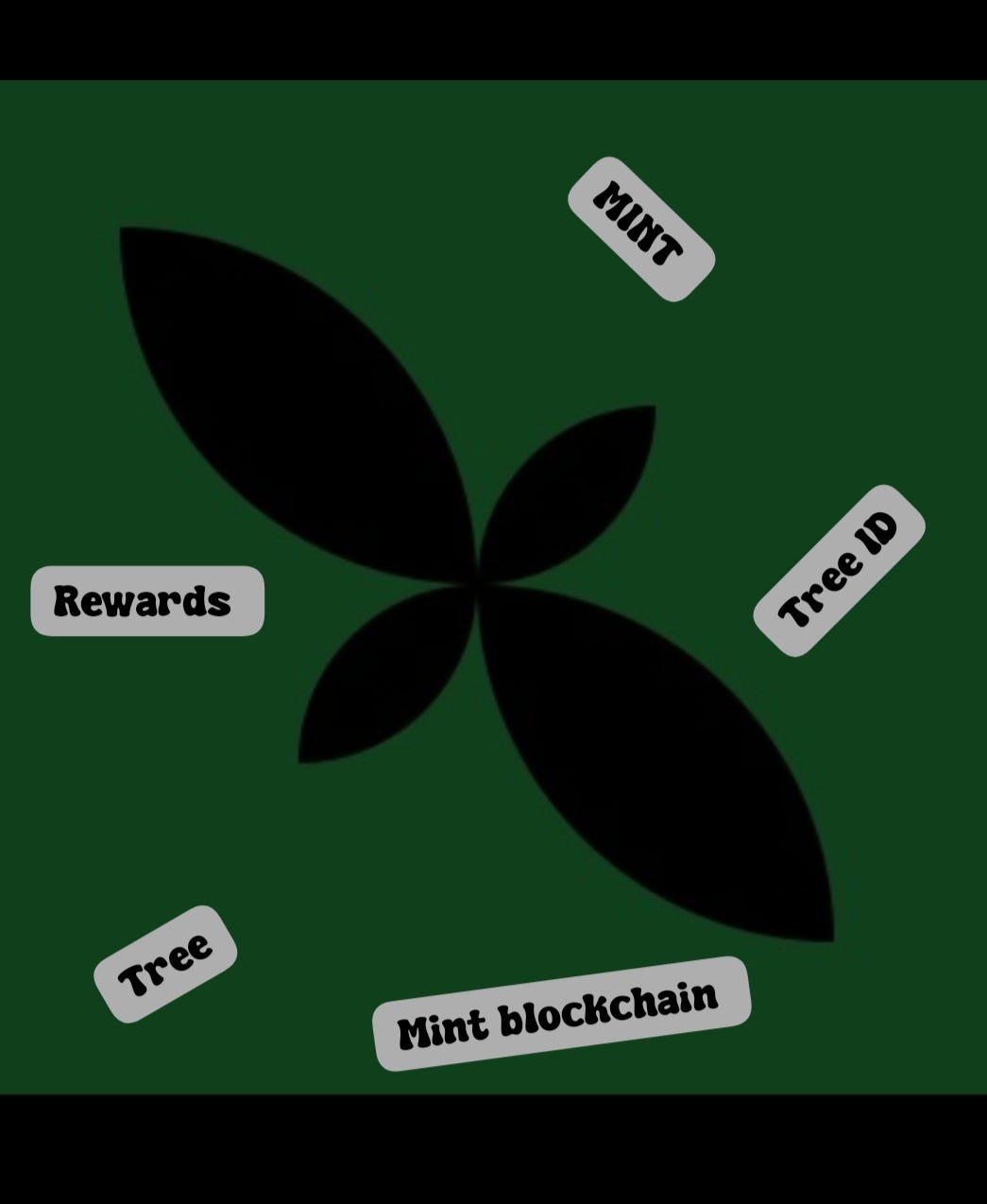 MINT BLOCKCHAIN 🍀 A POWERFUL L2 NFT PROTOCOL AND ITS ECOSYSTEM, WILL THEY BE CONVENTIONAL ? | by ...