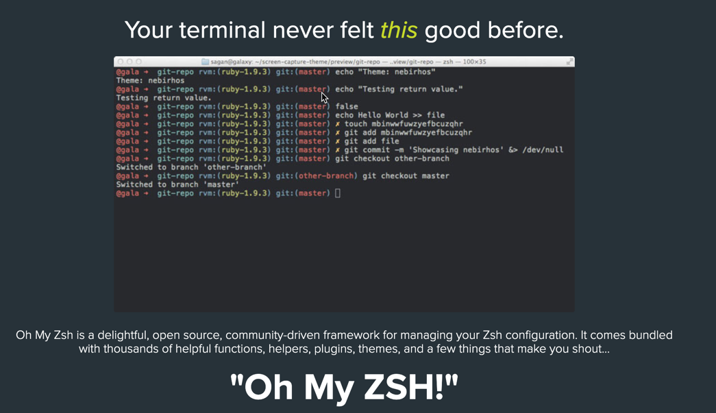 Change to oh-my-zsh for your data science projects. | by Pytrick L ...