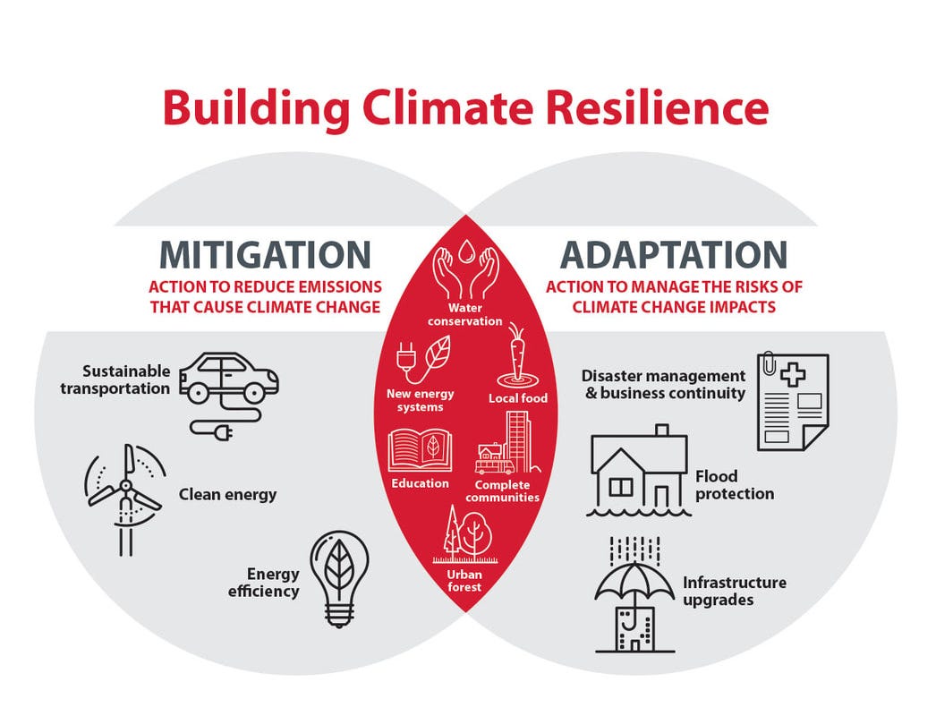 Understanding Adaptation and Mitigation: Definitions, Differences, and ...