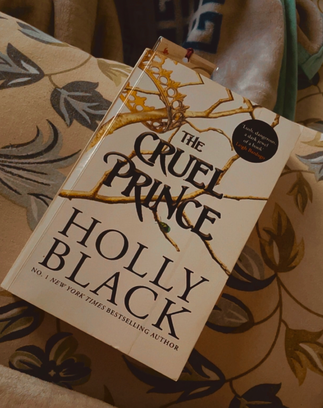 Book Review: The Cruel Prince by Holly Back | by Guide Through | Medium
