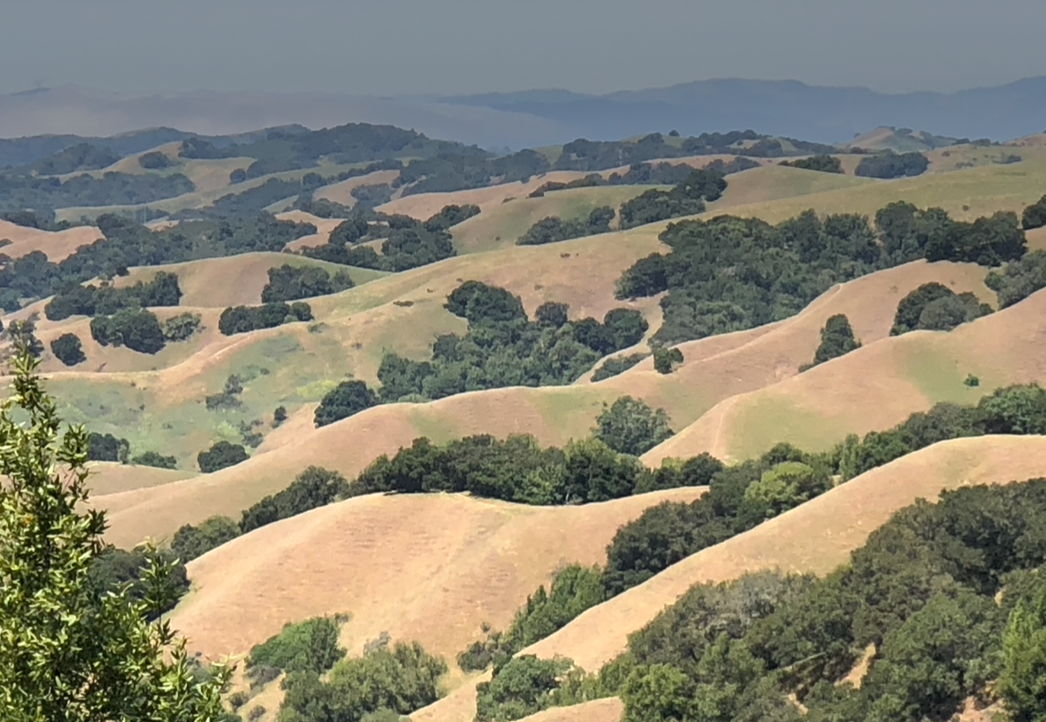 Michael Van Valkenburgh – [Different] Landscapes