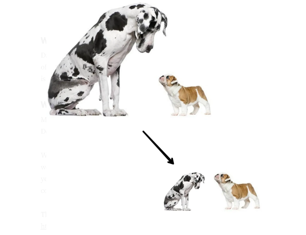 Understanding Scaling and Transformation Techniques in Data Analysis ...