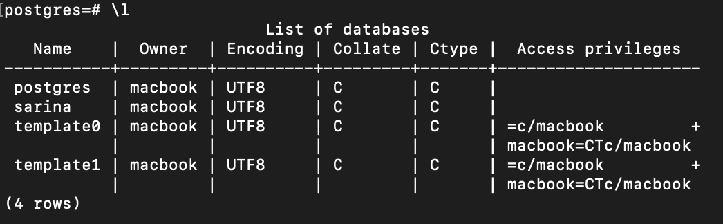 PostgreSQL-part3: Create DB & Tables | by Sarina Heshmati | Medium