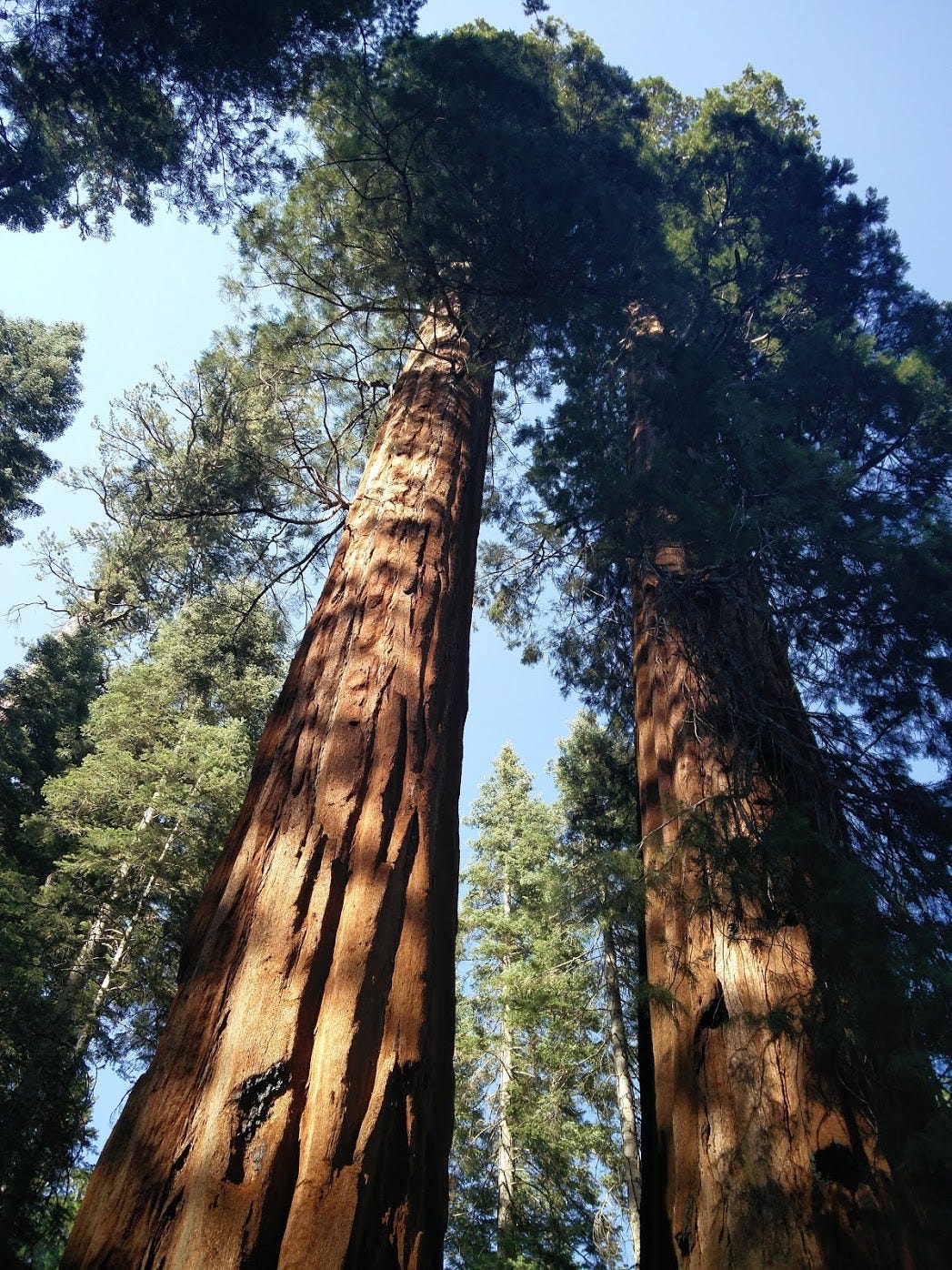 Designing Ecosystem Flows for a Responsible ICO | by Jean M Russell ...