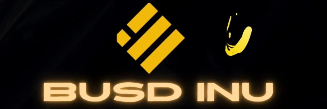 BUSD INU - A Unique and Ambitious Project on BSC | by Marian Bunea | Medium