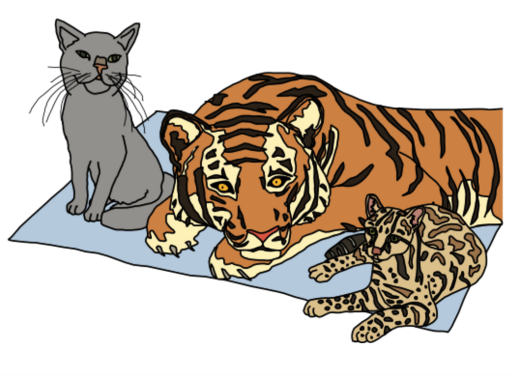 JAVASCRIPT FOR CATS. The task for this week was to complete… | by ...