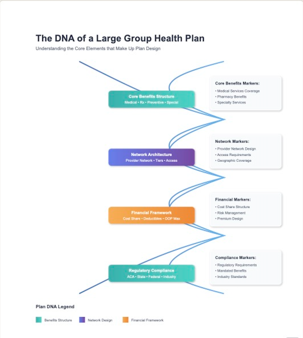 The DNA of Health Plans: Decoding the Design Across Market Segments ...