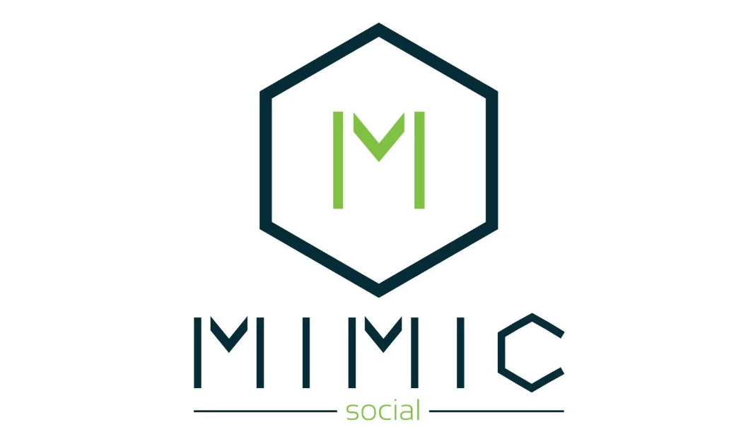 Mimic Social. Doing this mimic social project has… | by DylanJames | Medium