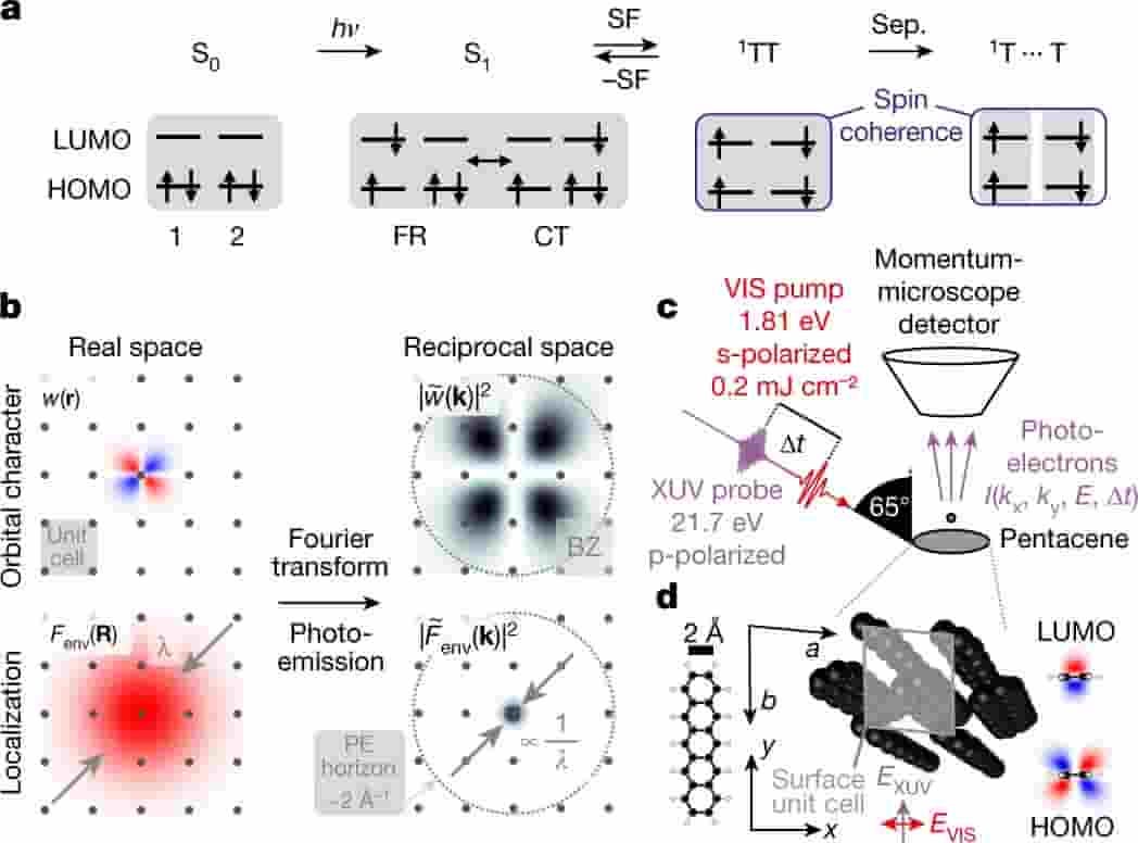 Decoding Exciton Fission: Paving the Way for High-Efficiency Solar ...