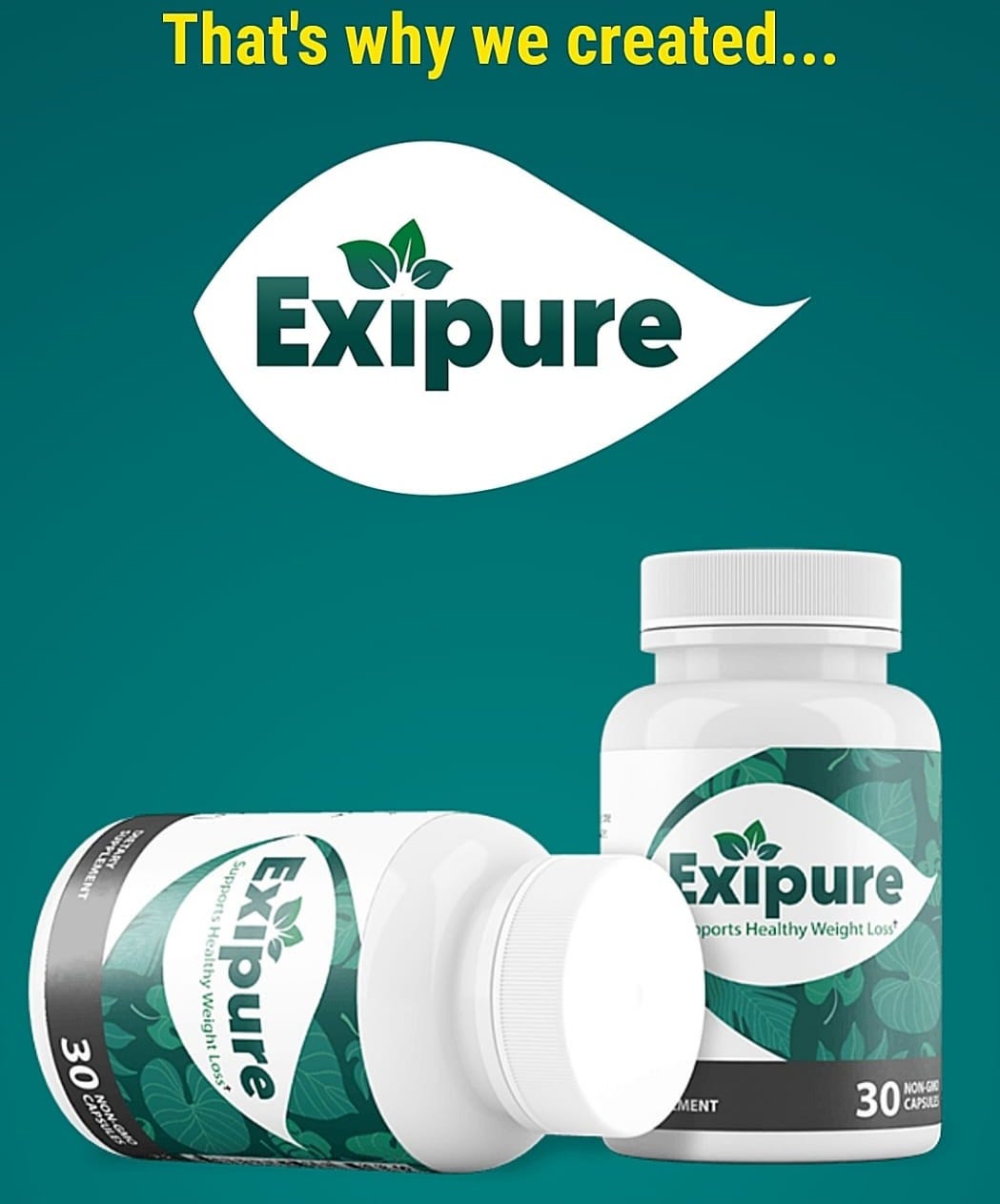 Exipure Reviews: 2022 Real Weight Loss Results! | by TechyFunny | Medium