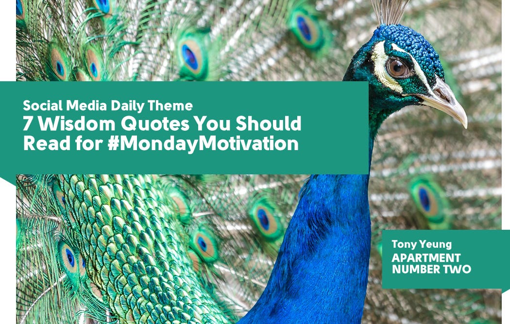 Social Media Daily Theme: 7 Wisdom Quotes You Should Read for # ...