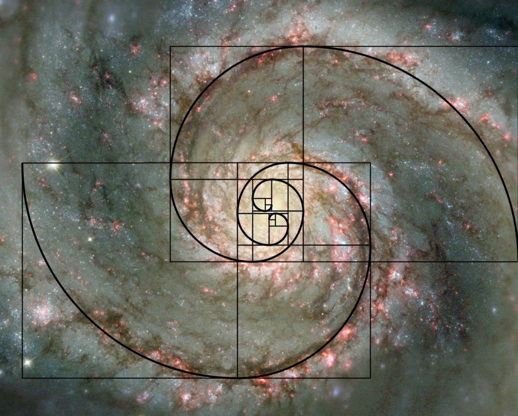Golden Ratio and its Applications in Everyday World | by ISTE NIT ...