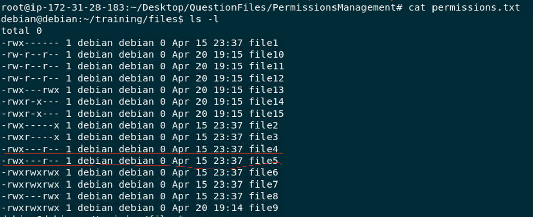 Letsdefend Walkthrough| Linux for Blue Team | by Siwakorn SW | Medium