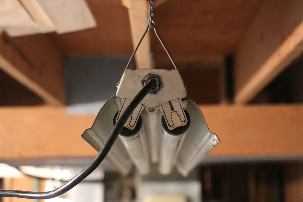 New cord for an old fluorescent lamp | by Andrew Reuter | Project Lab ...