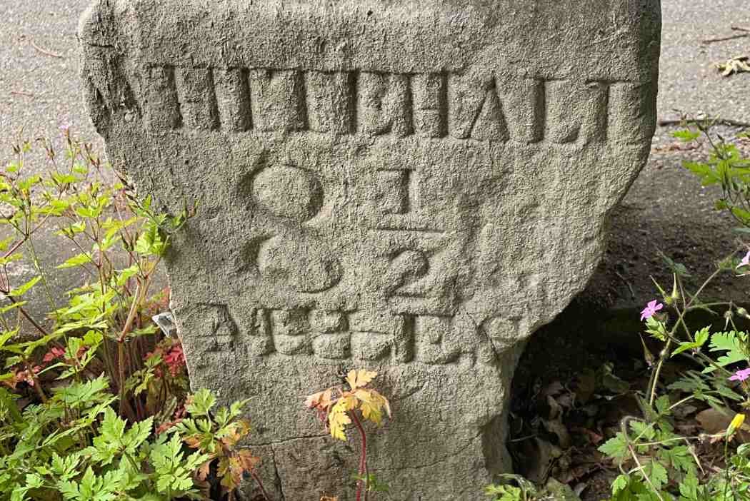 Dynamics Crm And Typescript Typescript Development Toolchain For By