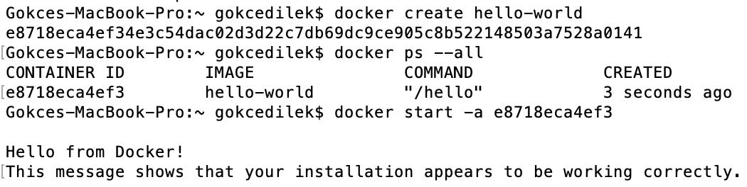 Docker Basics #1 — Useful Commands | by Gokce Dilek | Medium