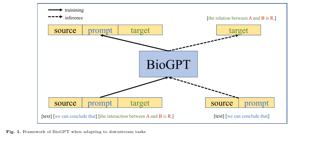 BioGPT: Generative Pre-trained Transformer for Biomedical Text ...