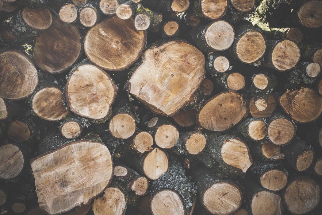 Essentials you need to know about Wood Logs | by Mark Williams | Medium