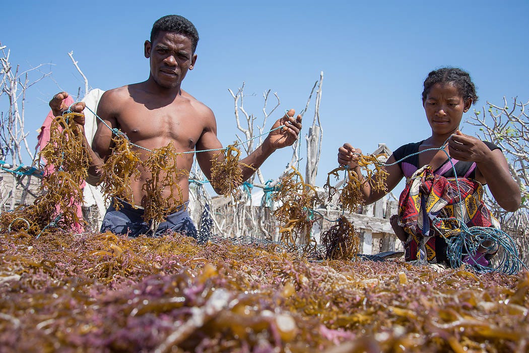 Equality, justice, and investment in nature must be at the heart of the ...