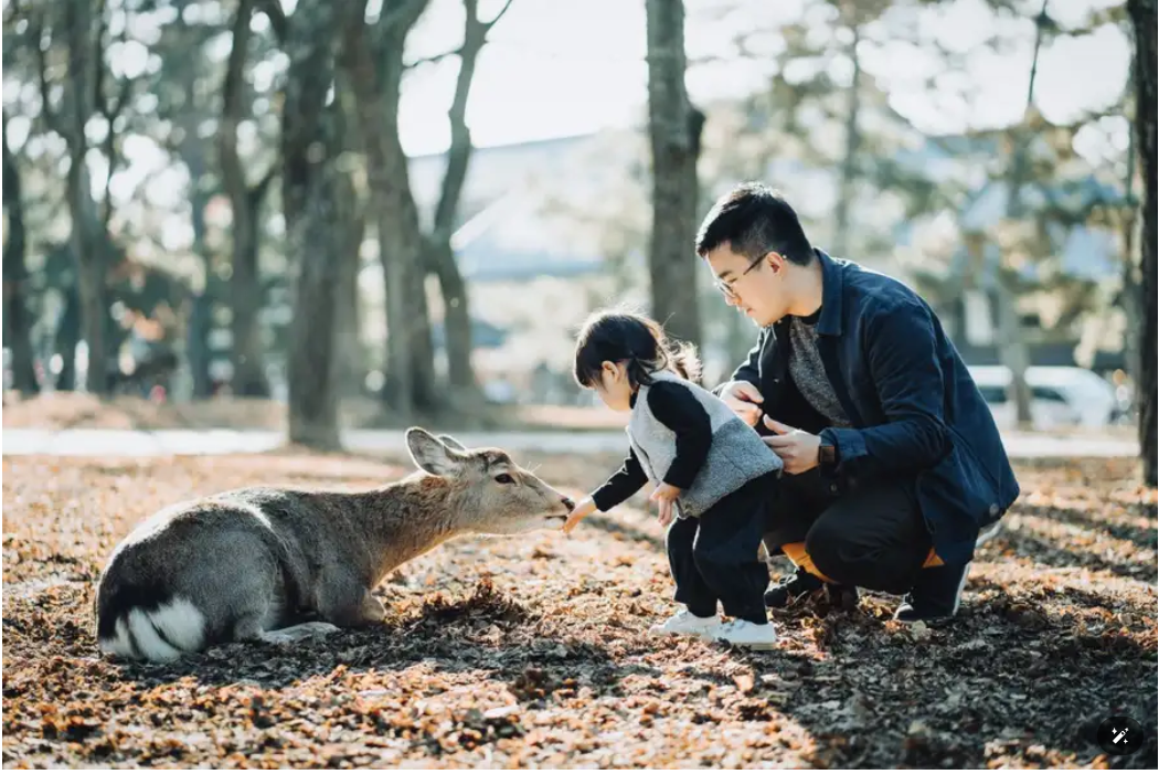 Human-Wildlife Interaction: Past, Present, and Future | by ...
