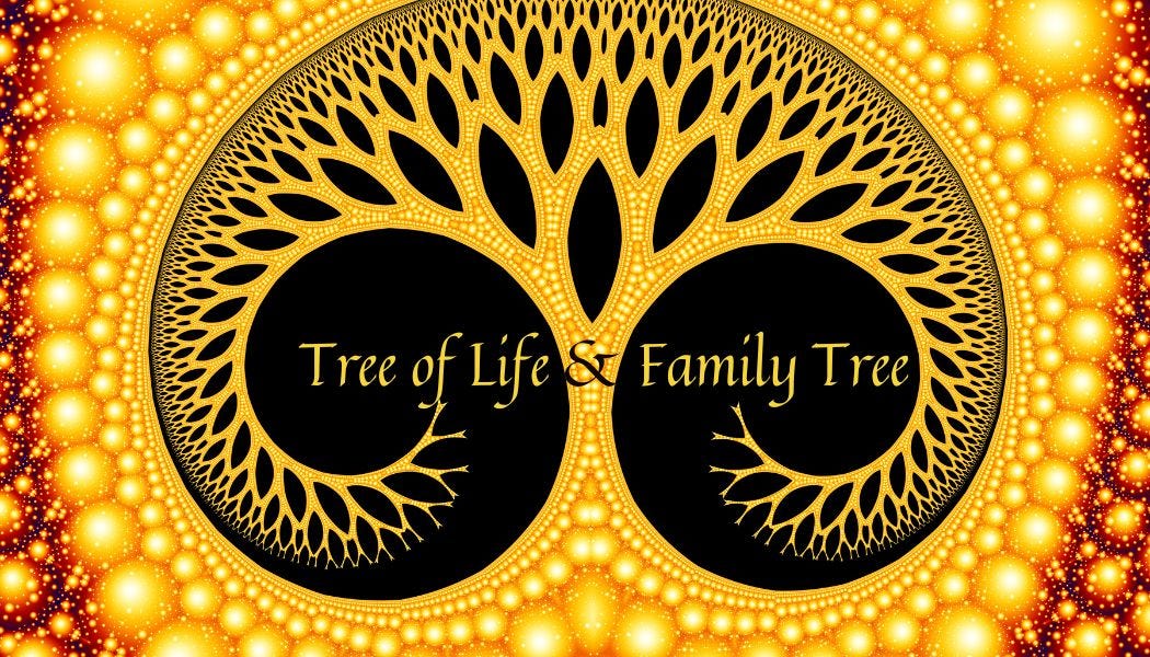 Tree of Life & Family Tree. An interplay between our family tree… | by ...