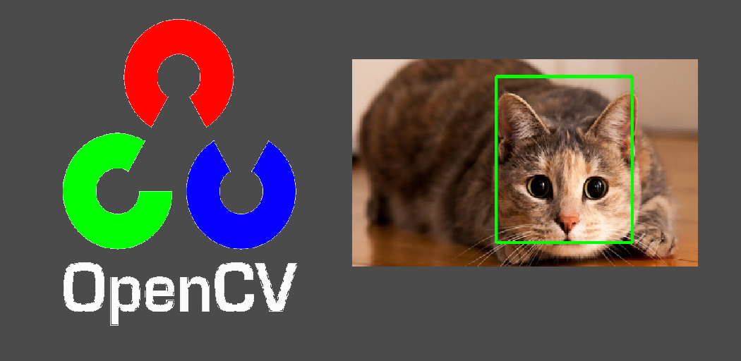 Guide to make Custom Haar Cascade XML file for Object detection with OpenCV | by Vipul dilip ...
