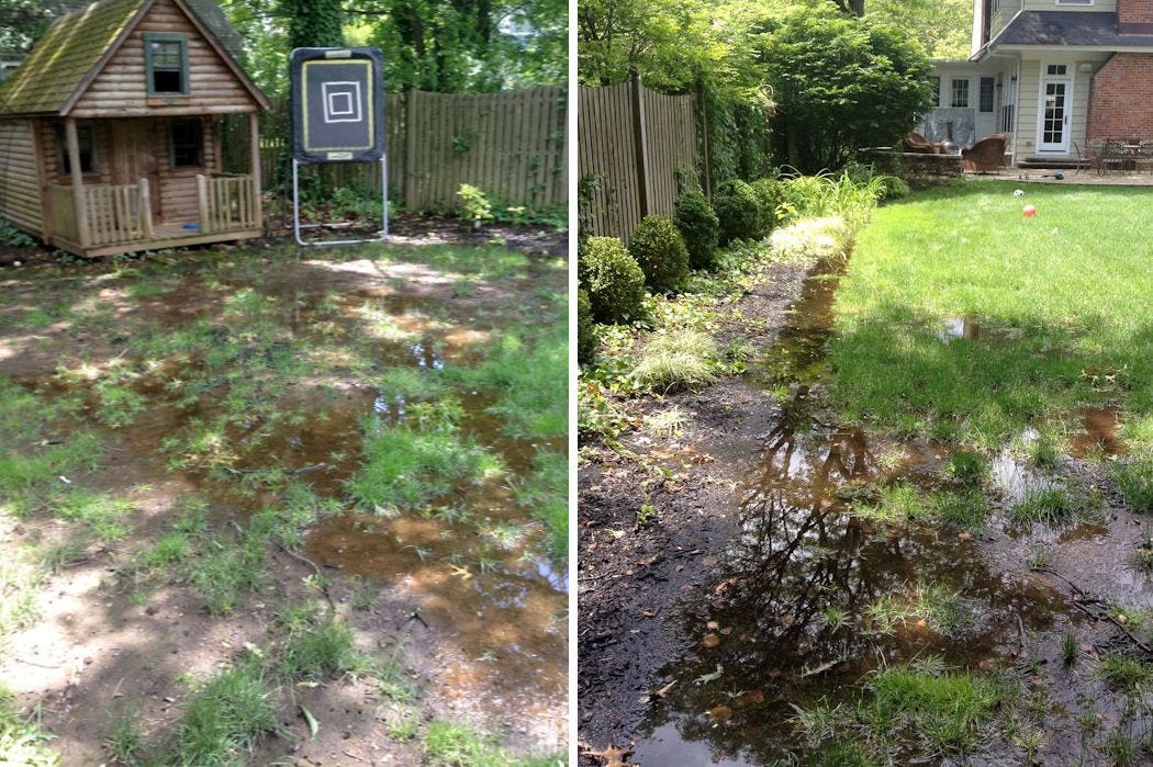 Why Your Landscaper Shouldn’t Handle Your Yard Drainage Problems | by ...