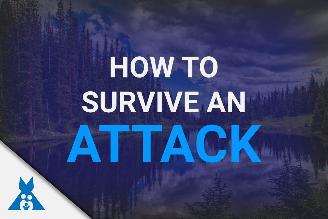 Self Defense Tips — How To Survive An Attack | by Survival Family ...